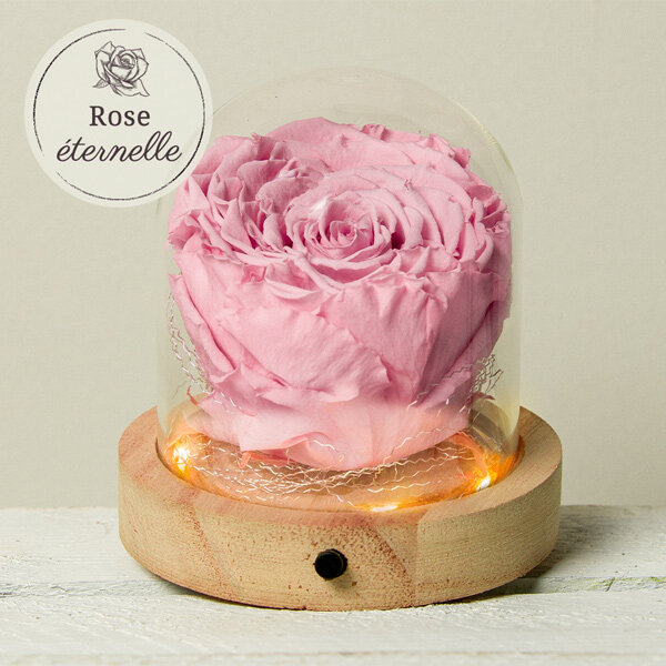 Bouquet de roses "ROSE ETERNELLE ROSE + CLOCHE LUMINEUSE" - Livraison ...