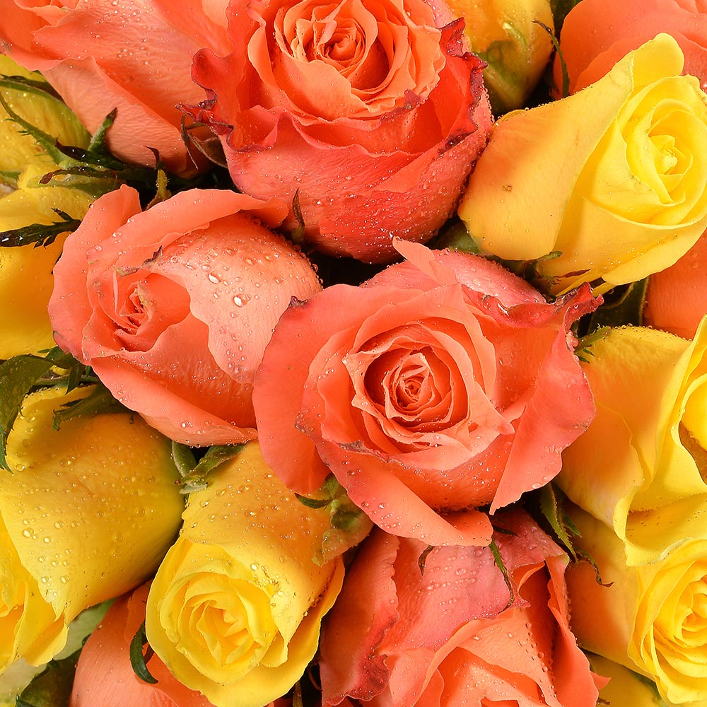 Bouquet 30 Roses Jaunes et Orange - Livraison en Express