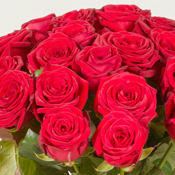 Bouquet de roses "36 GRANDES ROSES ROUGES" - Livraison Express | Florajet