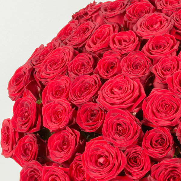 Bouquet de roses "91 GRANDES ROSES ROUGES" - Livraison Express | Florajet
