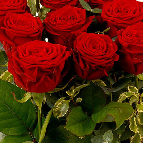 Livraison Composition de Roses Rouges : GLAMOUR | Florajet