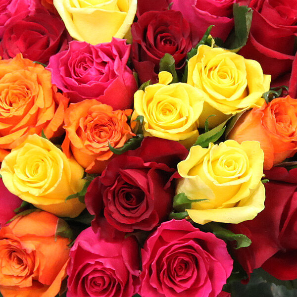 Bouquet de roses "80 ROSES MULTICOLORES" - Livraison Express | Florajet