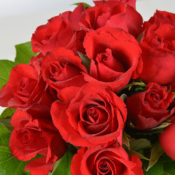 Autres "BOUQUET DE 15 ROSES ROUGES" - Livraison Express | Florajet