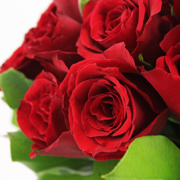 Bouquet de 20 Roses Rouges - Livraison en Express | Florajet