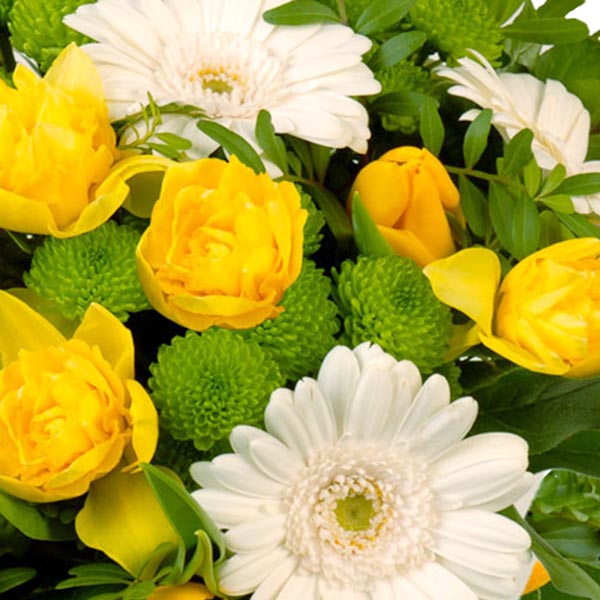Bouquet Jaune et Blanc avec Tulipes et Jonquilles | Florajet