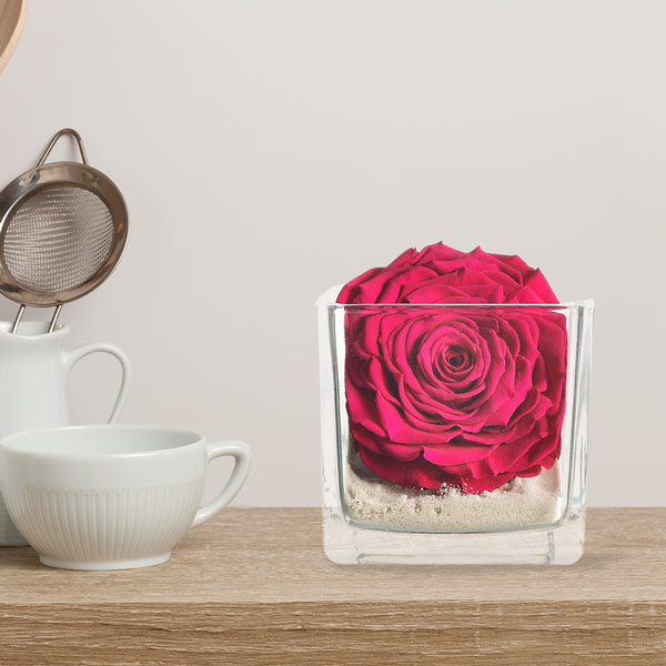 Bouquet de roses "ROSE ETERNELLE FUCHSIA+ POT EN VERRE CARRE ...