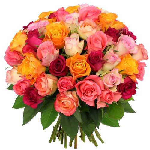 Bouquet de roses "50 ROSES MULTICOLORES" - Livraison Express | Florajet