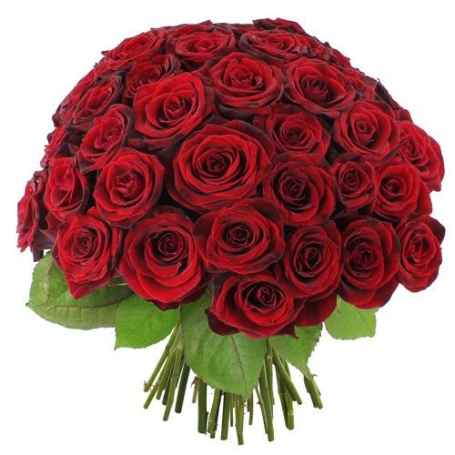 Bouquet de roses "50 ROSES ROUGES" - Livraison Express | Florajet
