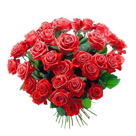 Bouquets composé "35 ROSES ROUGES" - Livraison Express | Florajet