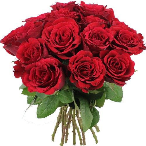Bouquet de roses "20 ROSES ROUGES" - Livraison Express | Florajet