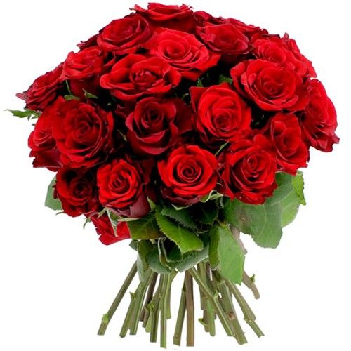 Bouquet de roses "20 ROSES ROUGES" - Livraison Express | Florajet