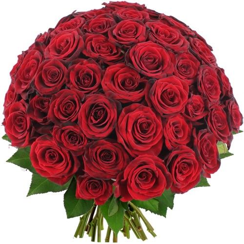Bouquet de roses "55 ROSES ROUGES" - Livraison Express | Florajet