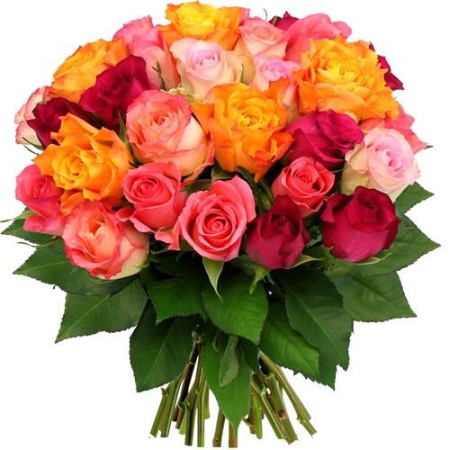 Bouquet de roses "25 ROSES MULTICOLORES" - Livraison Express | Florajet