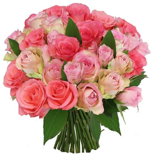 Bouquet de roses "30 ROSES ROSES" - Livraison Express | Florajet